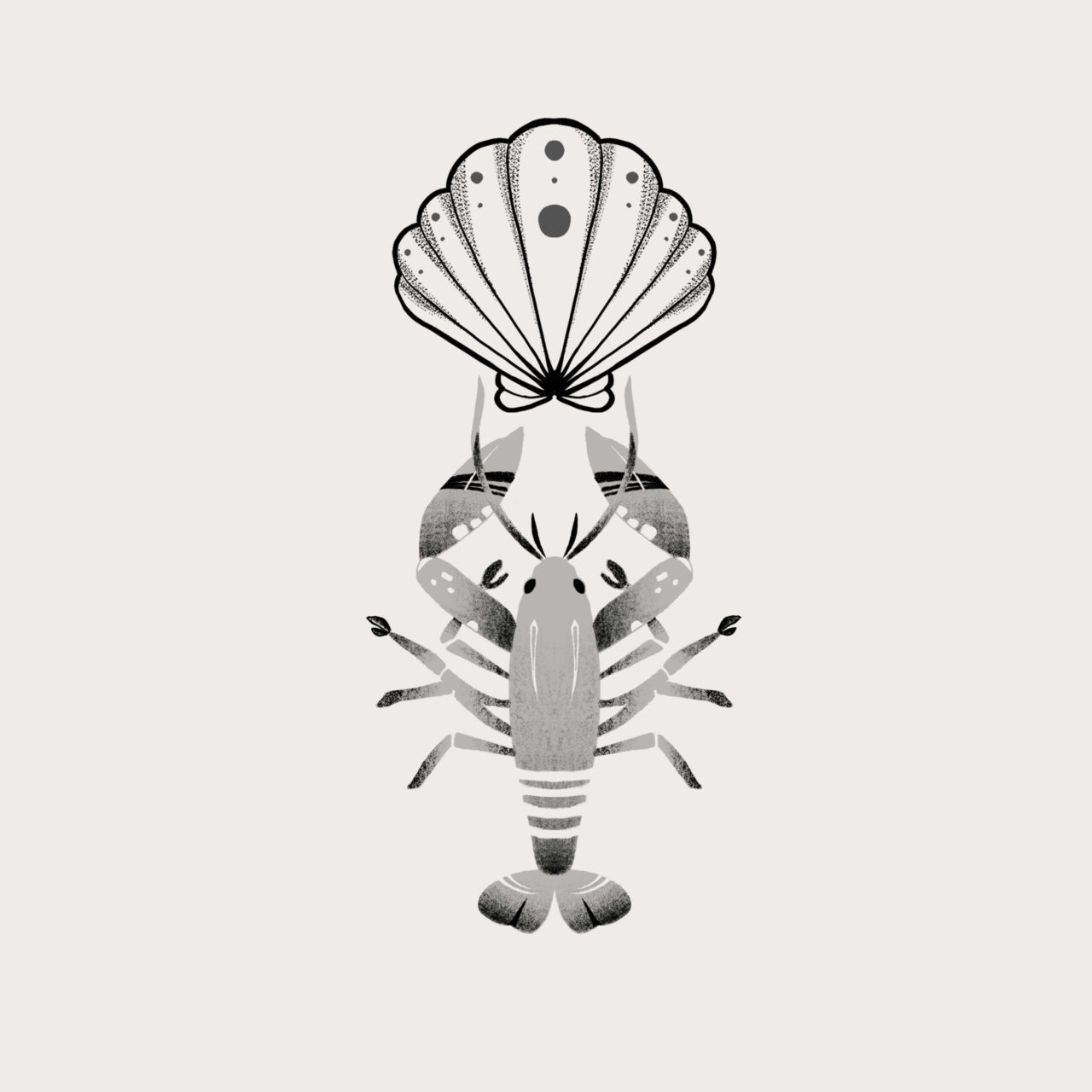 Homar | Malt Illustrations